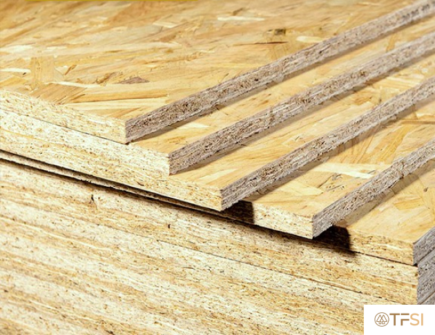 Timberlink Forest Solutions International (TFSI) | Timberlink Forest ...