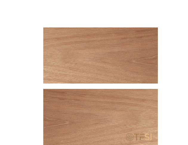 Timberlink Forest Solutions International (TFSI) | Timberlink Forest ...